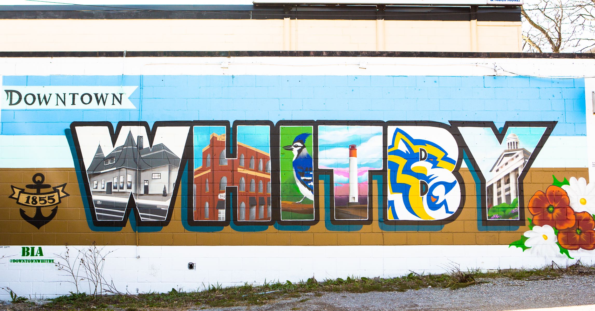 Five Fabulous Reasons To Visit Downtown Whitby - Downtowns of Durham